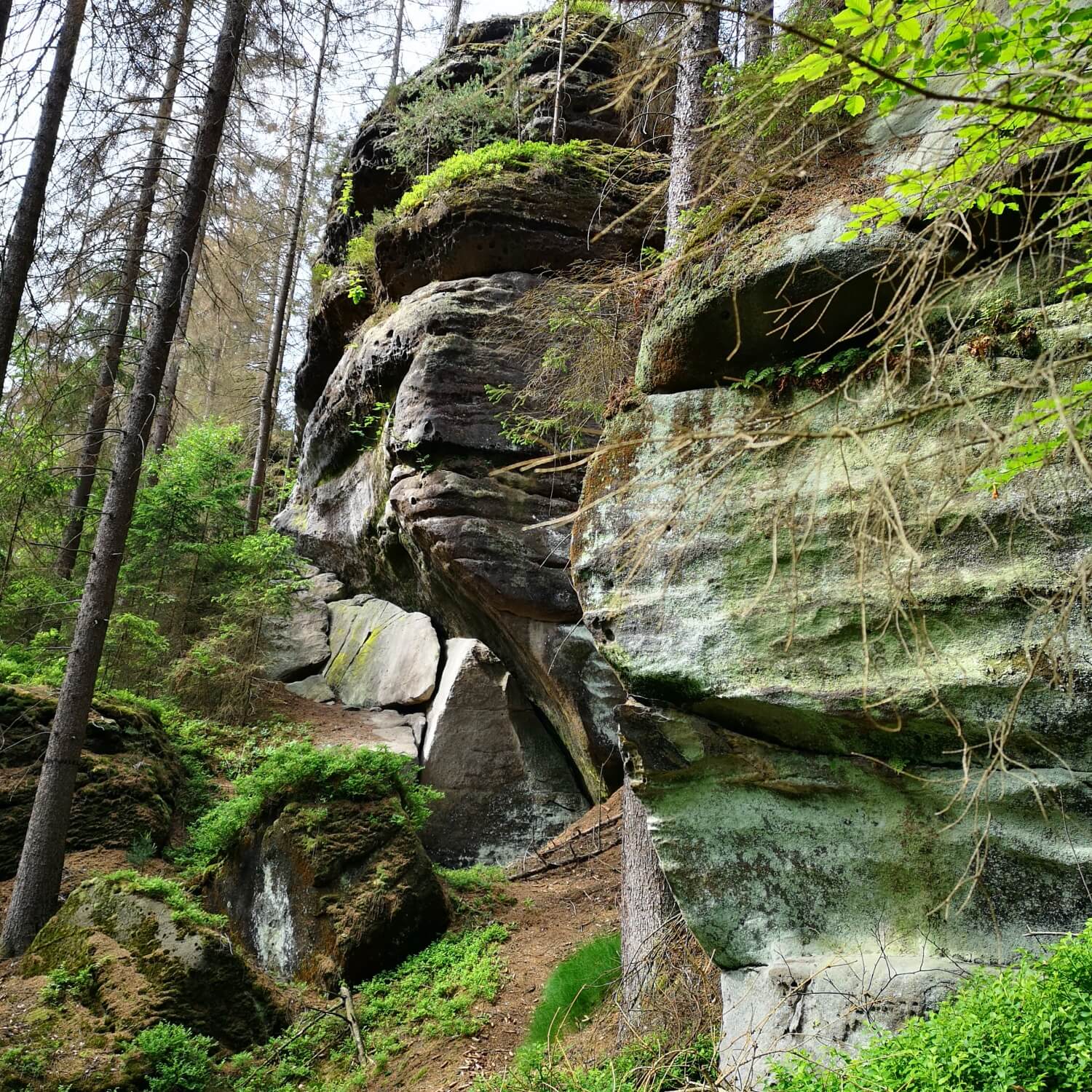 Wandern zum Winterstein und ein cooler Besuch - Franky's Motorrad Reisen